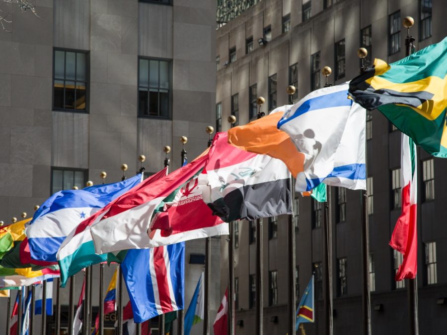 flags - World Movement for Democracy