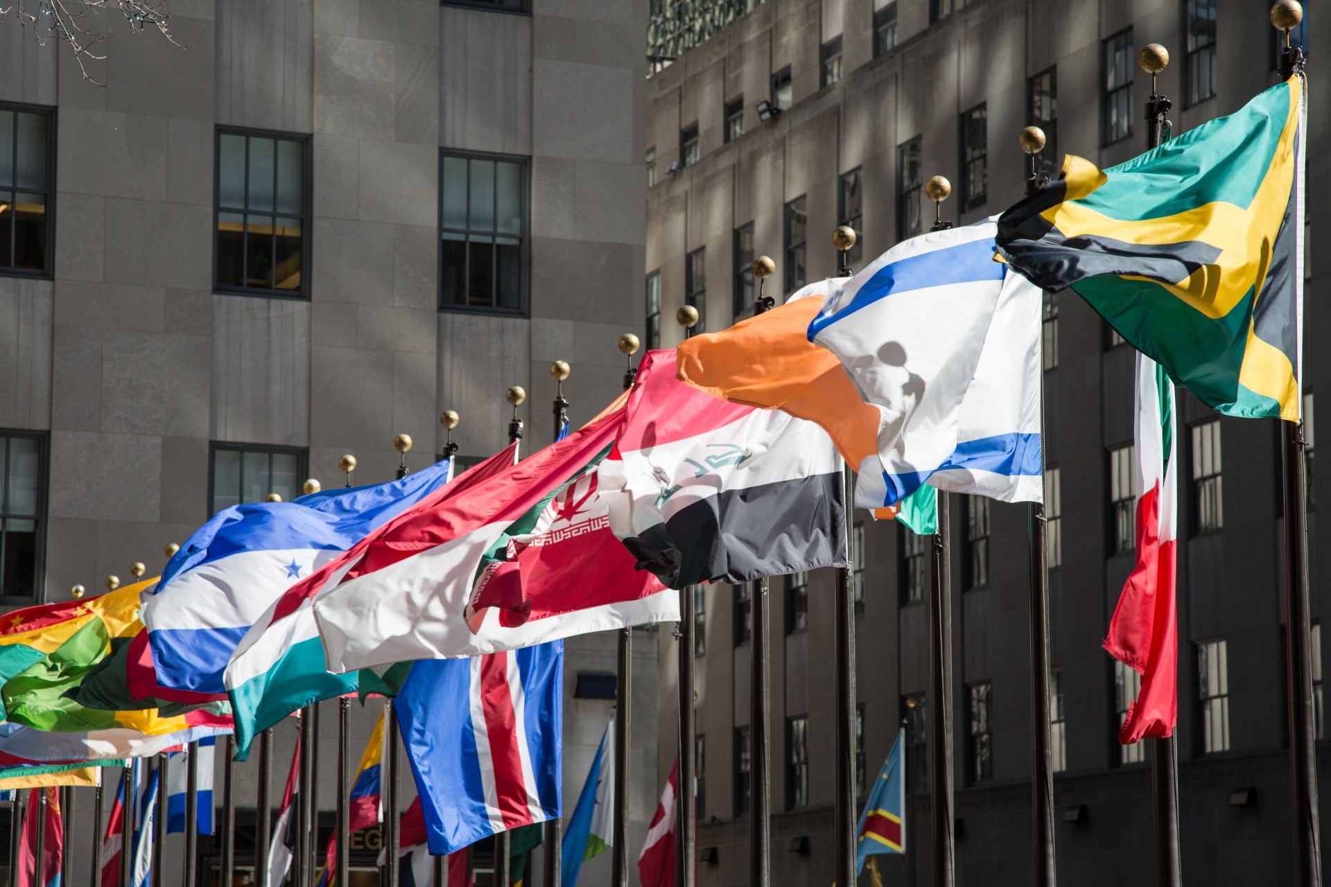 flags - World Movement for Democracy